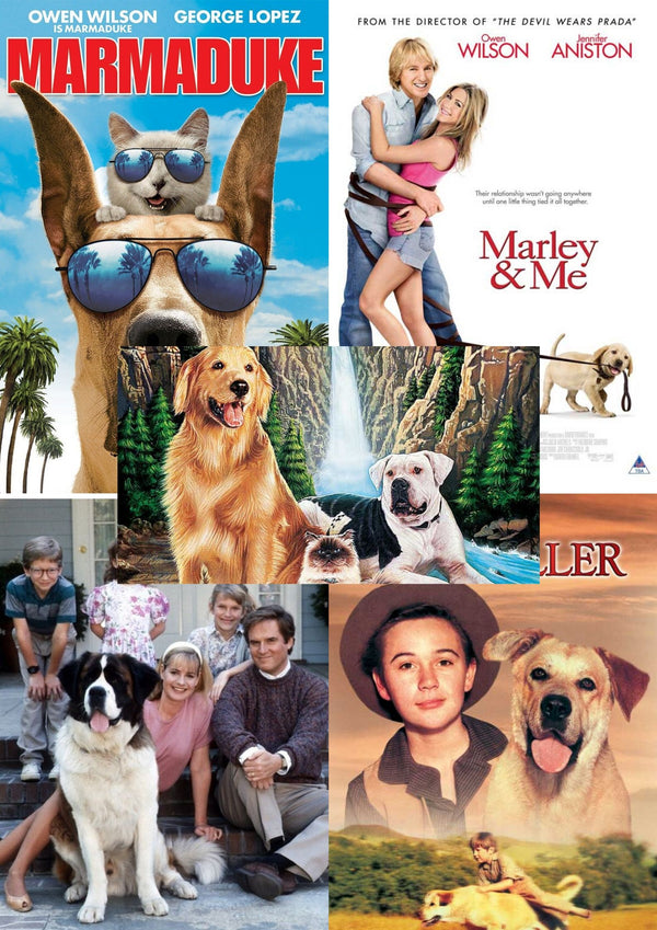 Top 5 Dog Films for Lockdown