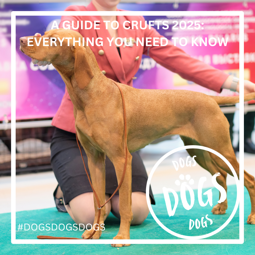 A Guide to Crufts 2025: Everything You Need to Know