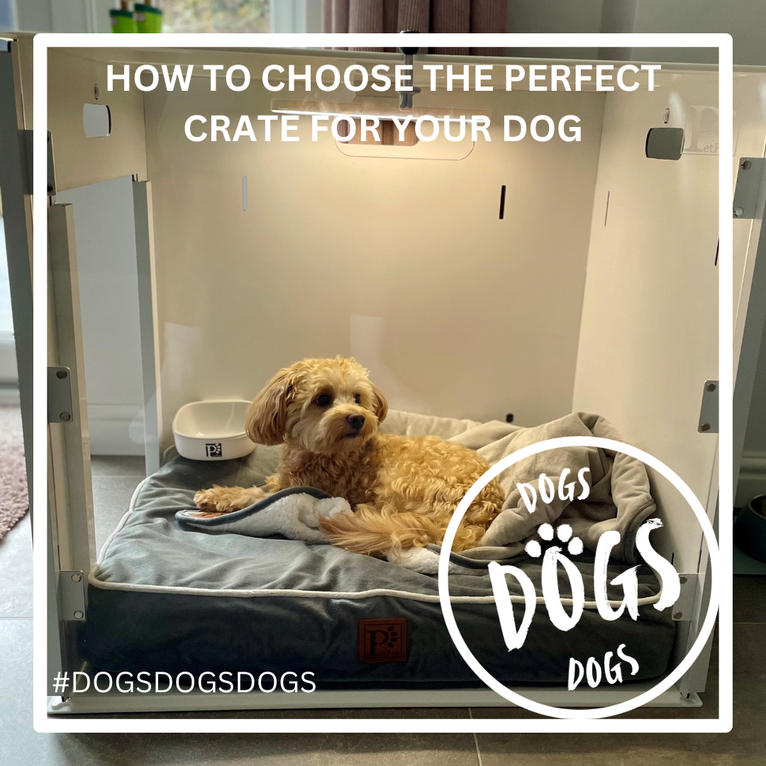 How to Choose the Perfect Crate for Your Dog