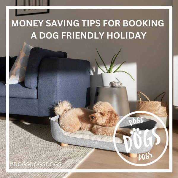 Paws & Pounds: Money-Saving Tips for Booking a Dog-Friendly Holiday