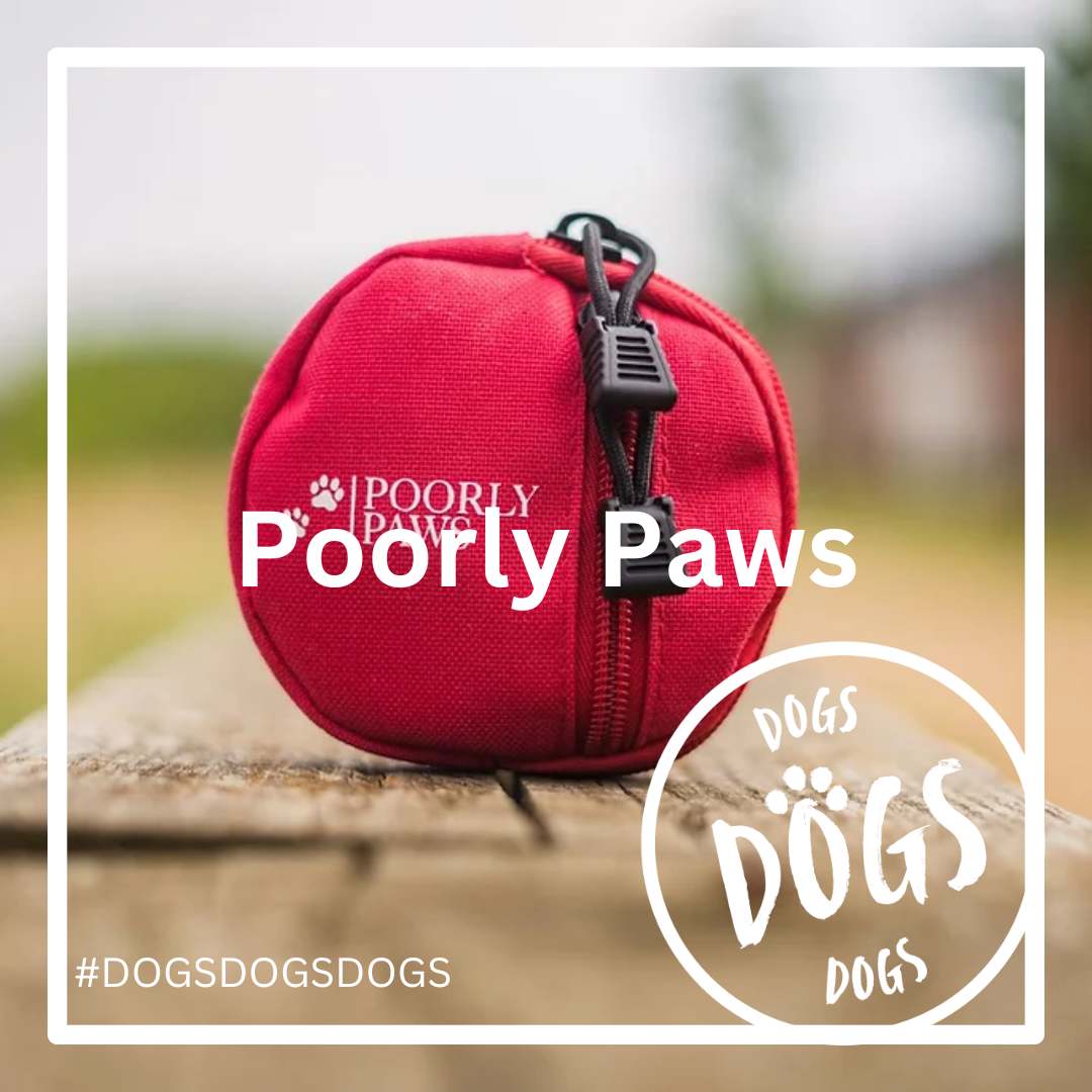 Keeping Your Paws in Top Shape: The Magic of Poorly Paws First Aid Kit
