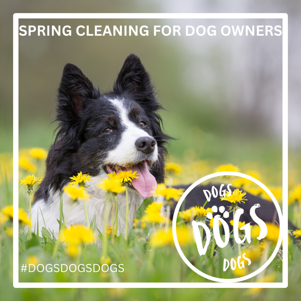 Spring Cleaning for Dog Owners: Keep Your Home Fresh & Dog-Friendly