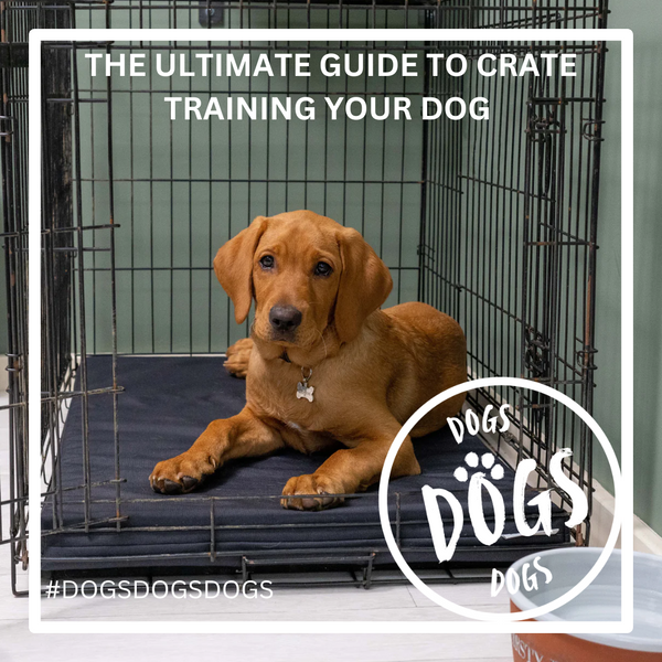 The Ultimate Guide to Crate Training Your Dog