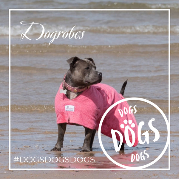 Introducing Dogrobes: The Perfect Solution for Keeping Your Pup Warm a